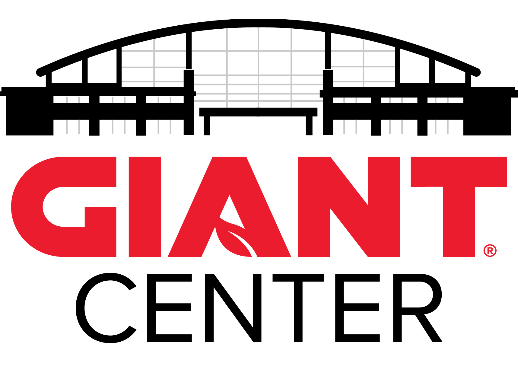 Giant Center